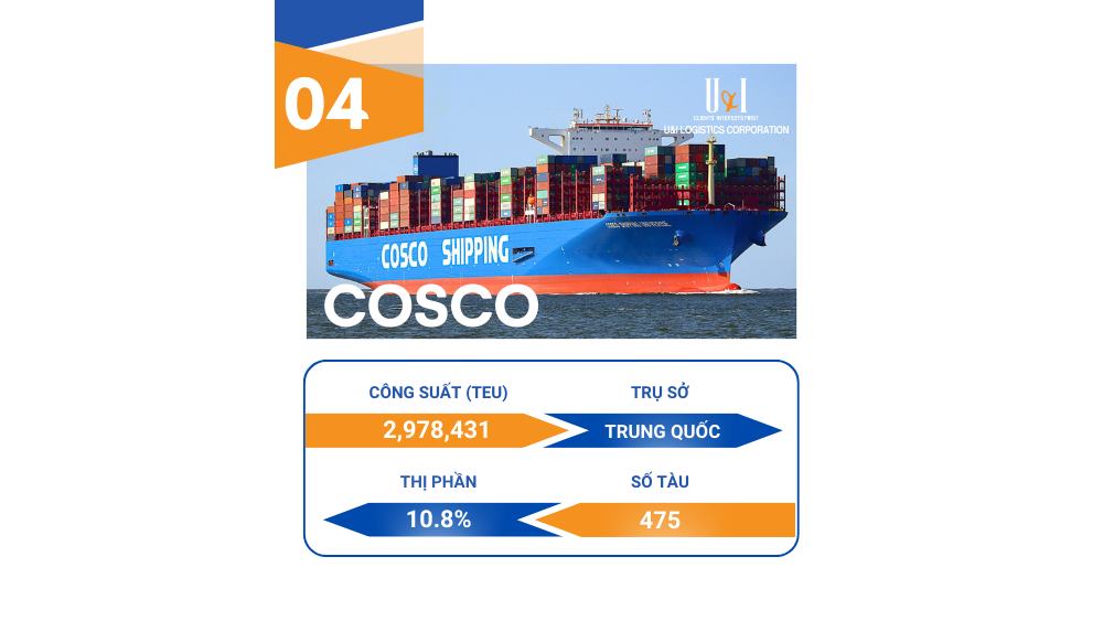 Những hãng vận tải container lớn nhất thế giới trong hoạt động vận chuyển đường biển năm 2023 ...